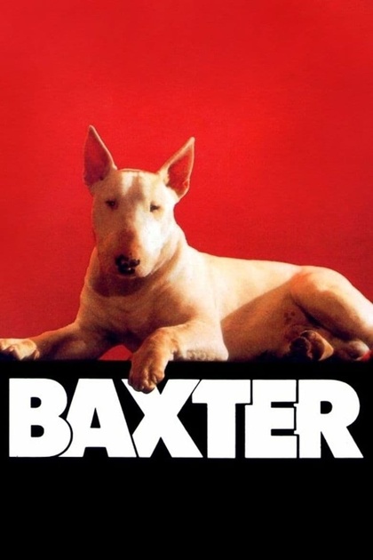 Baxter vanaf 3 november 2021 op Netflix